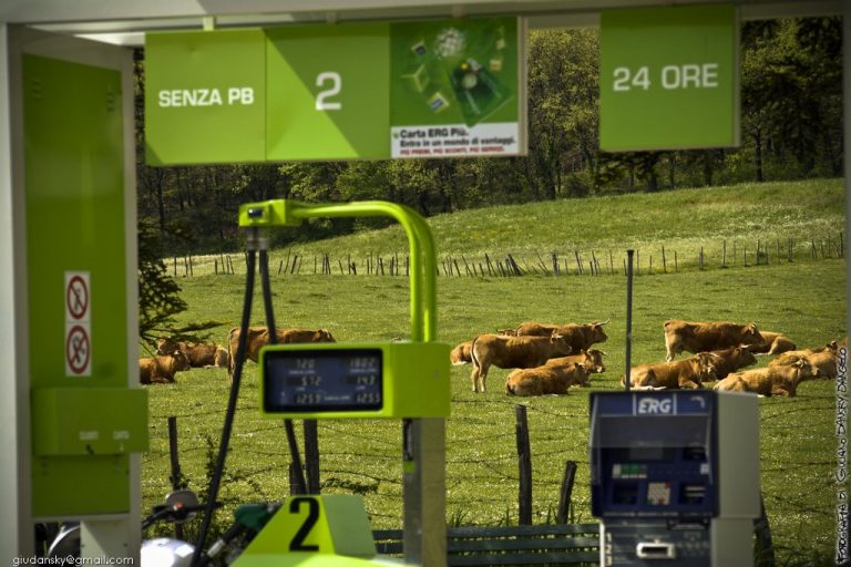 Benzina verde - Conchiglie in Maremma